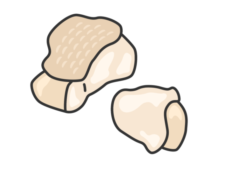 生の鶏肉の無料イラスト / イラストセンター