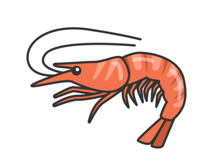 茹でた海老の無料イラスト / イラストセンター