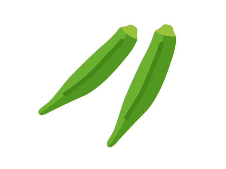 Free illustration of okra icon | illustcenter