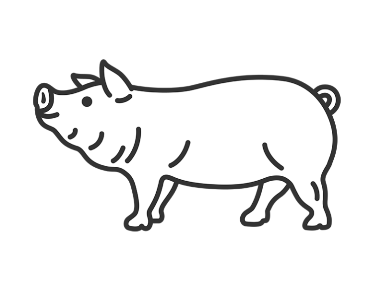 Free illustration of pig (line drawing) | illustcenter