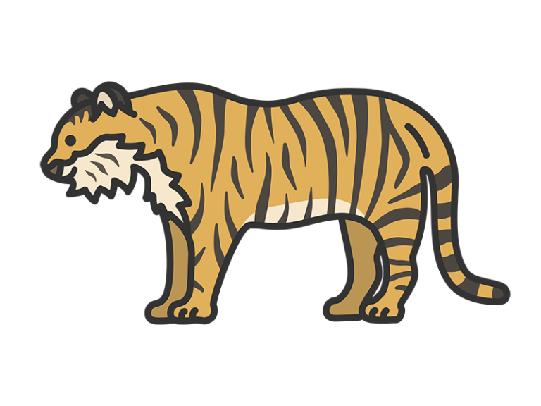 Free illustration of a tiger (line drawing color) | illustcenter