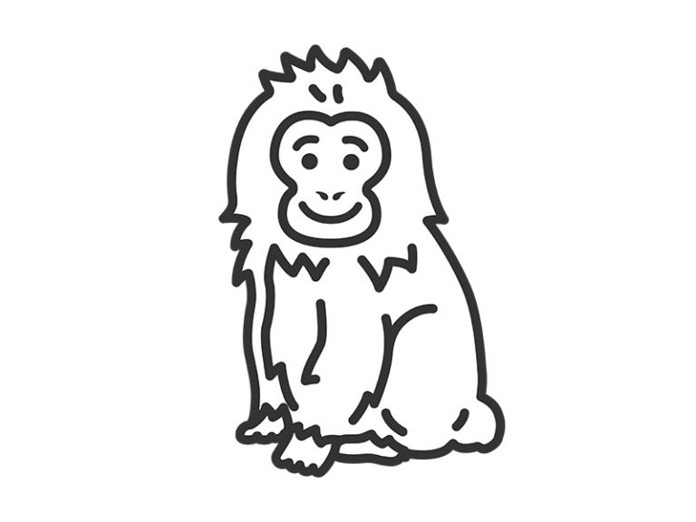 Free illustration of Japanese macaque (line drawing)｜イラストセンター