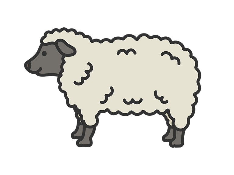Free illustration of a sheep with a black face (line drawing color ...