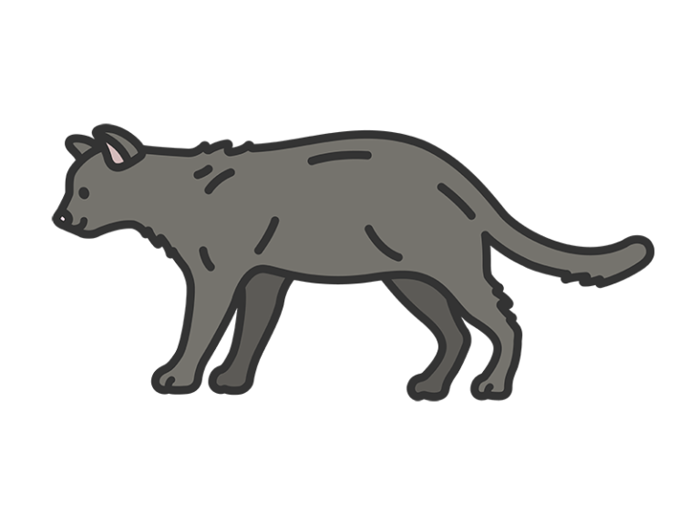 Free illustration of black cat (line drawing color) | illustcenter