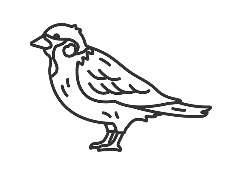 Free illustration of sparrow (line drawing)｜イラストセンター