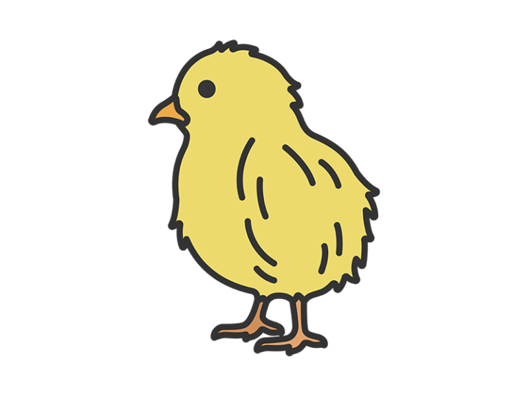 Free illustration of chick (line drawing color) | illustcenter
